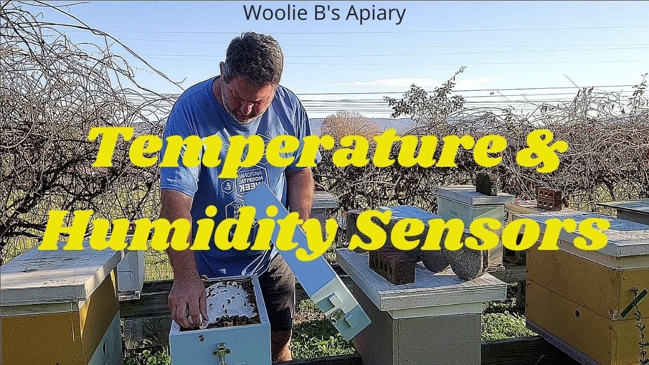 Temperature & Humidity Sensor in the hives - YouTube