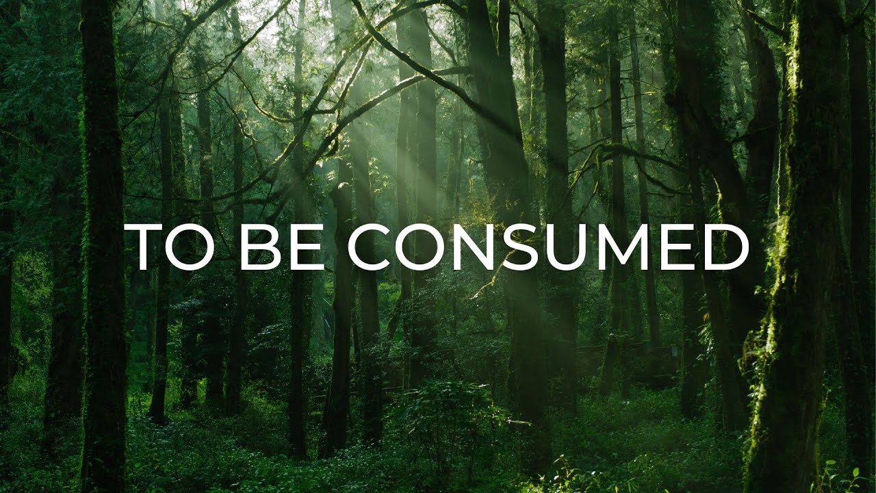 To Be Consumed YouTube to-be-consumed-youtube