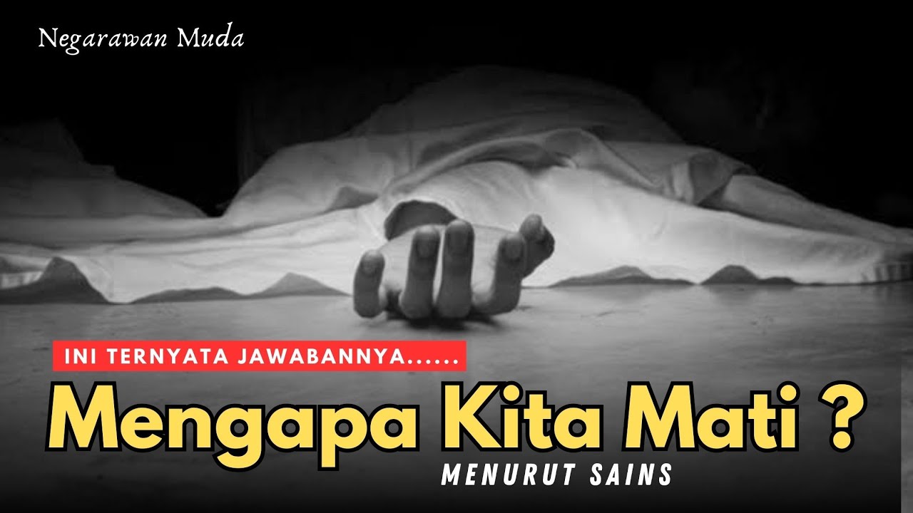 MENGAPA MANUSIA MATI⁉️ Ini Jawabannya Menurut Sains - Negarawan Muda ...