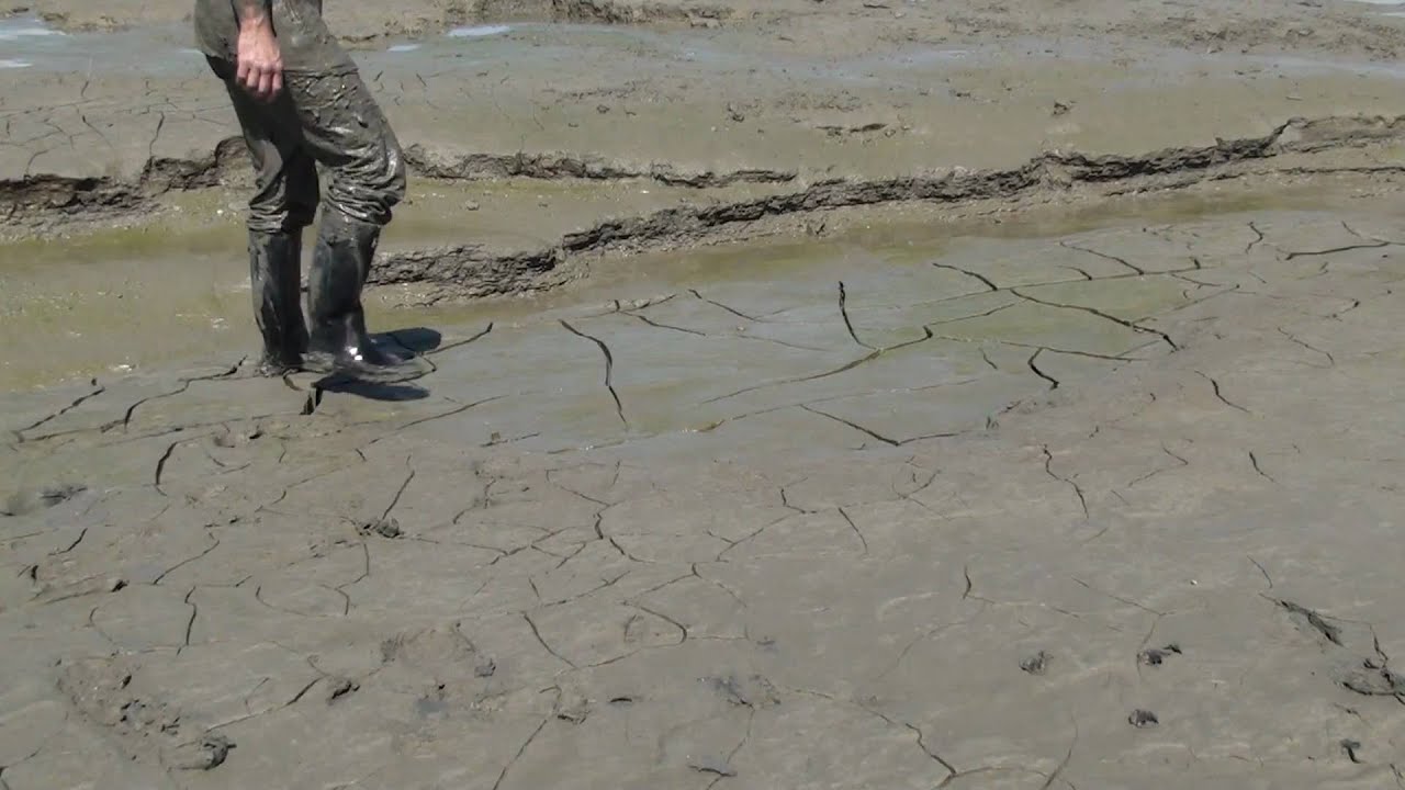 00098 - tidal mud flats - YouTube