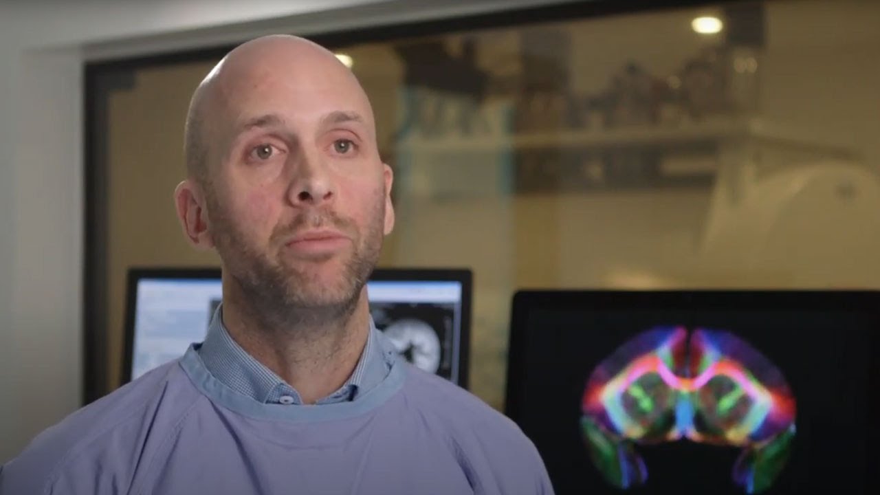 Monash Department of Neuroscience Launch: Dr David Wright - YouTube