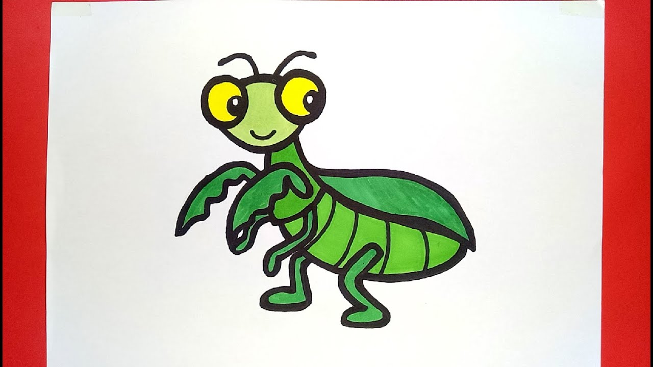 How to Draw a Praying Mantis Easy | Praying Mantis Drawing - YouTube