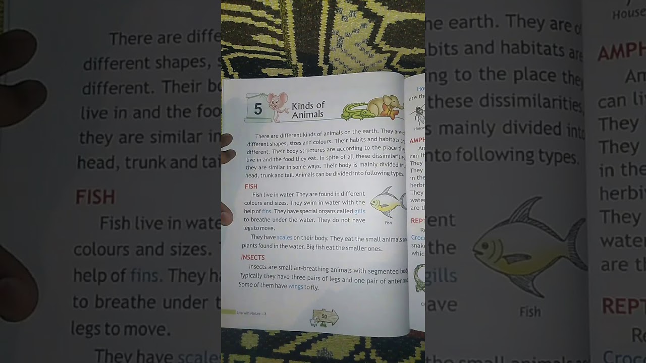 Class 4th EVS Chapter 5 Part 1 YouTube class-4th-evs-chapter-5-part-1-youtube