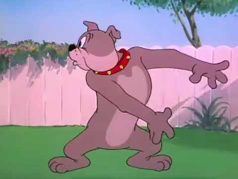 (REUPLOAD) Tom and Jerry Classical Screaming Compilation (1940-1967)