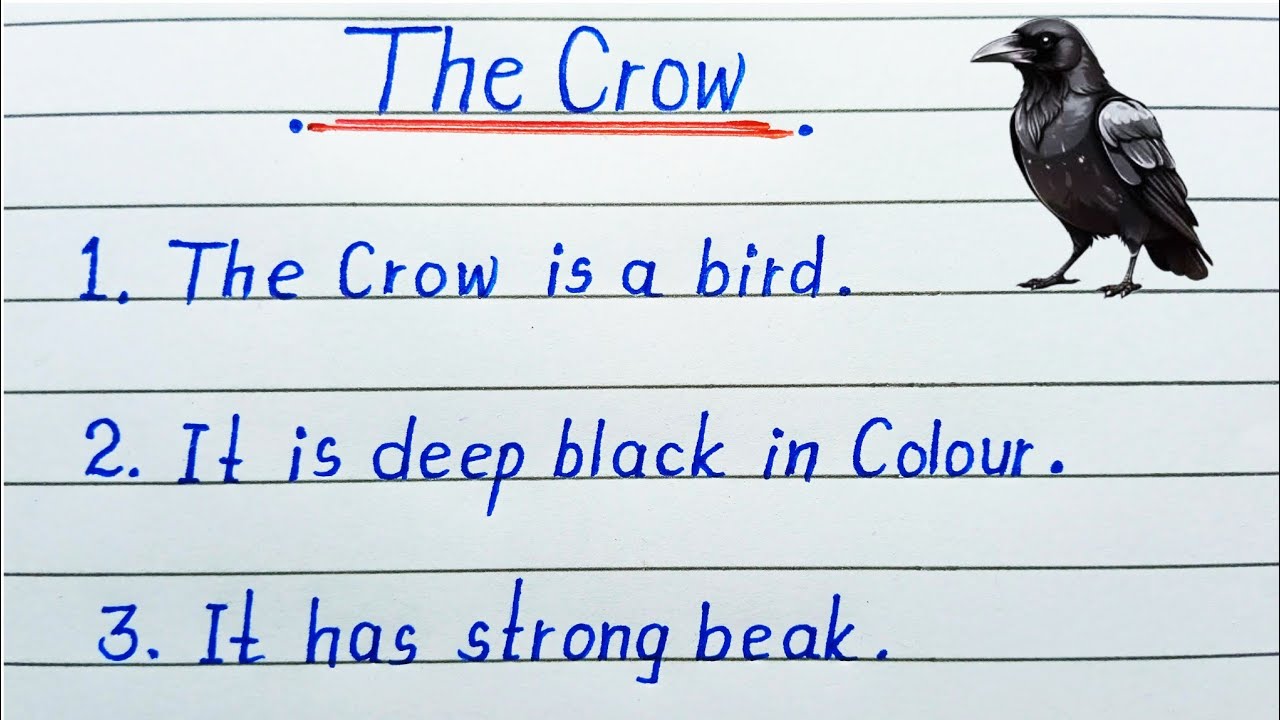 Essay on The Crow || 10 line essay writing On "Crow" || Essay on Crow ...
