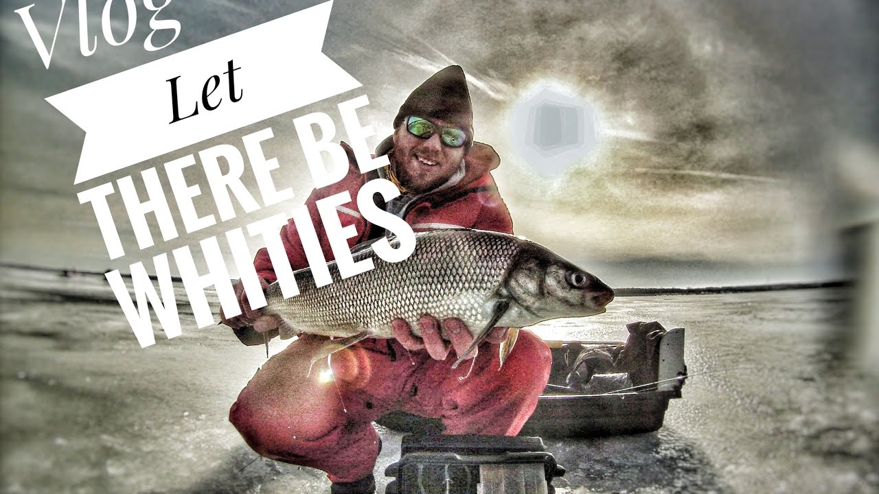 SR Fishing Vlog #11 - Let There Be Whities - YouTube