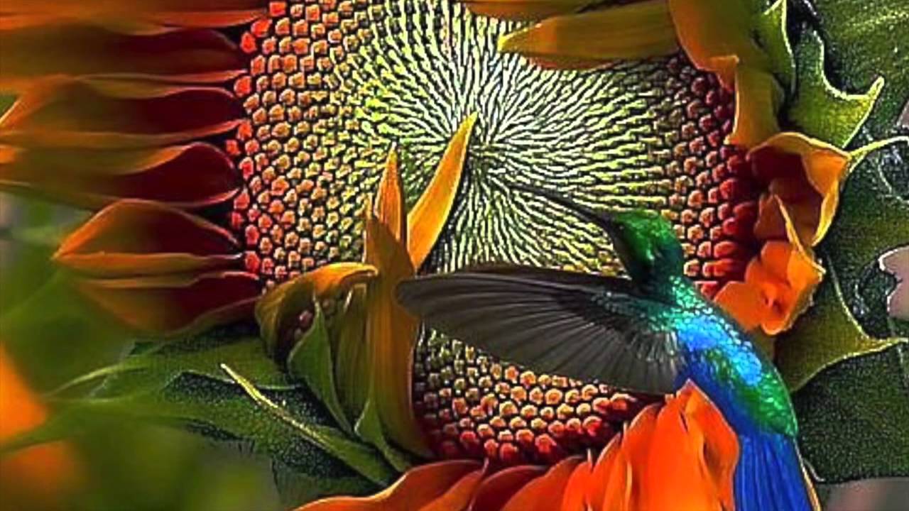 "A Small Needful Fact" by Ross Gay, music Christian Lindquist, voice M ...