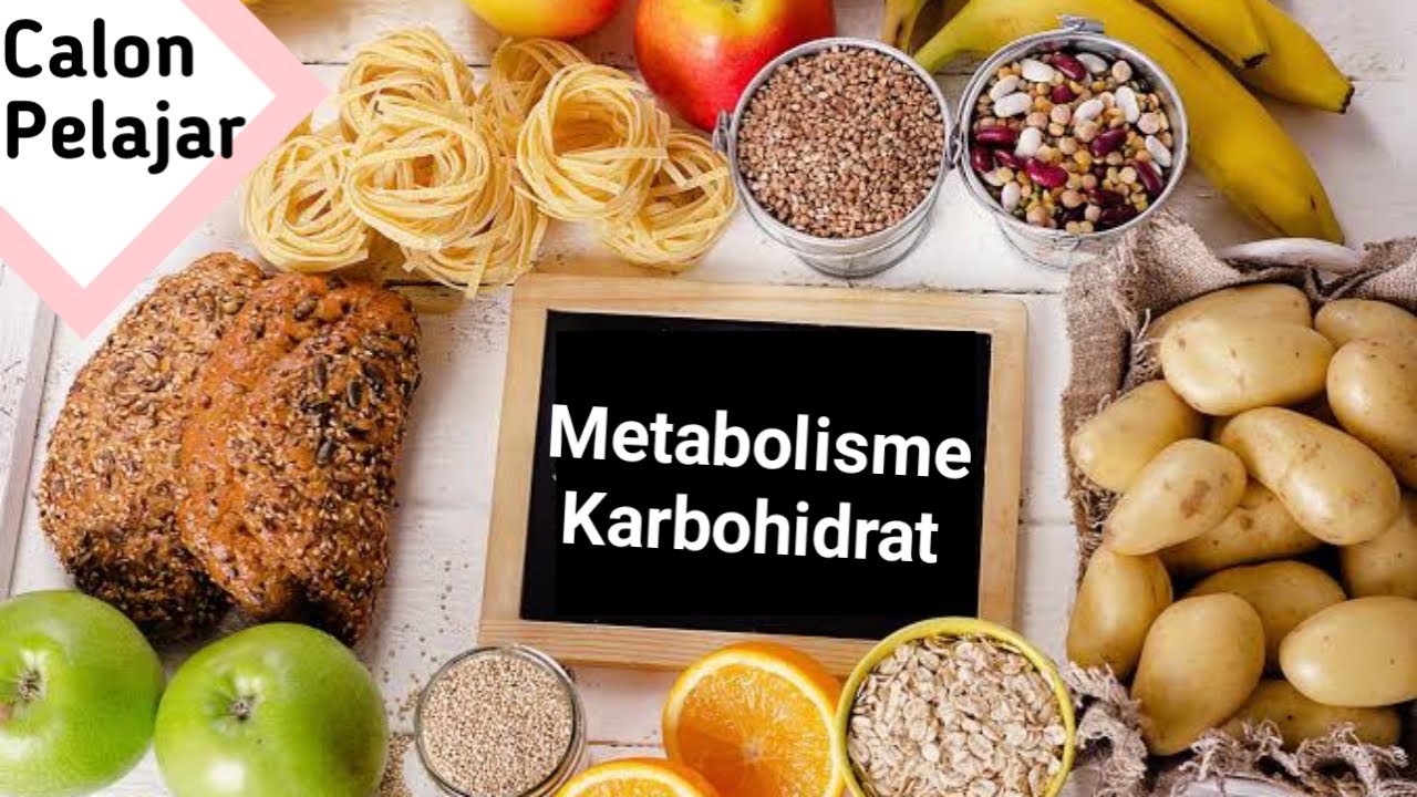 Proses Metabolisme Karbohidrat - Biokimia - YouTube