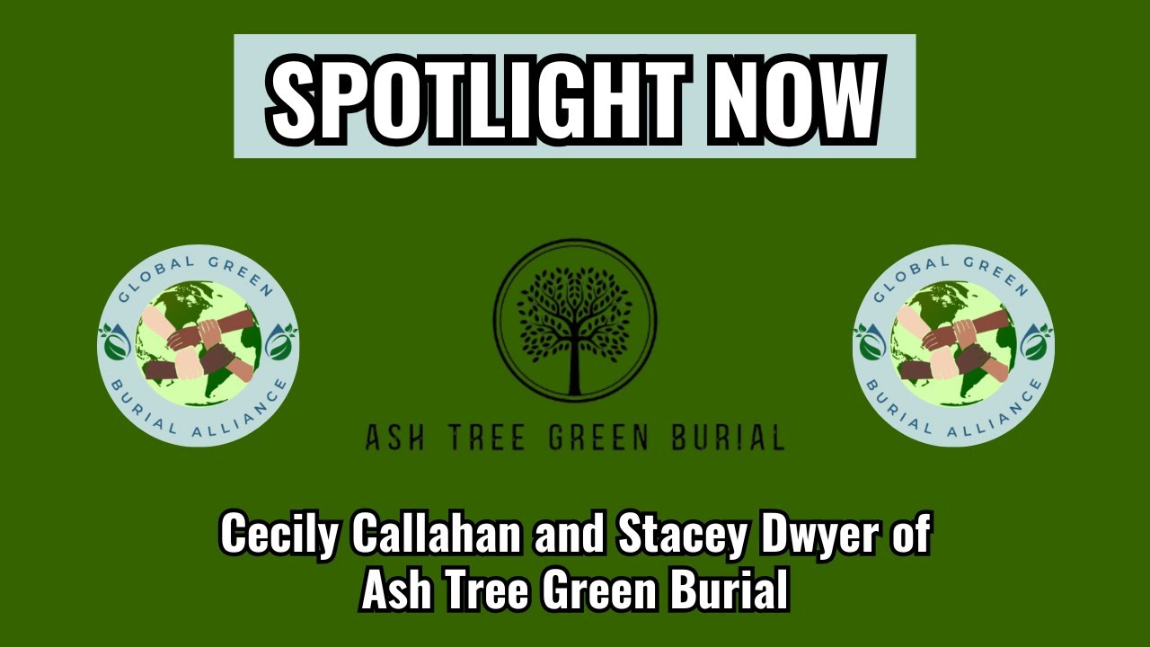 Spotlight Now with Cecily Callahan and Stacey Dwyer of Ash Tree Green ...
