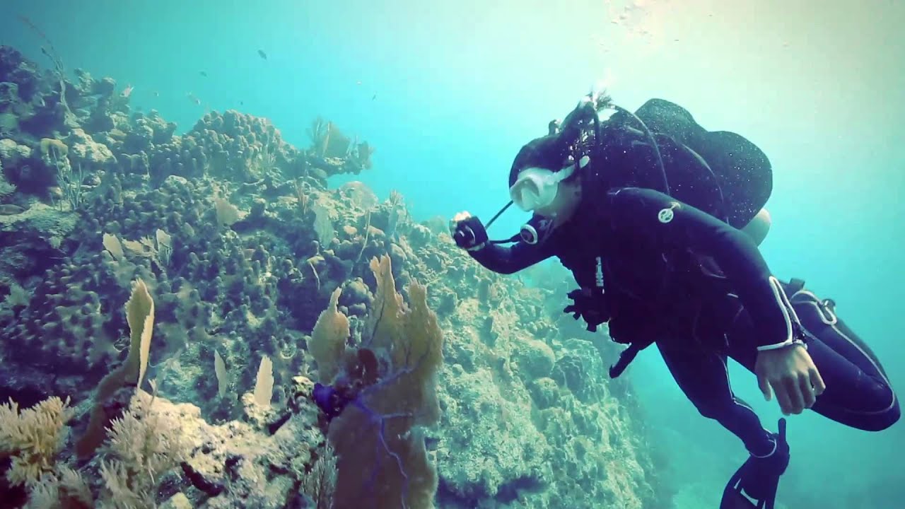 SeaLife ReefMaster Underwater Camera - www.ScubaUAE.com - YouTube