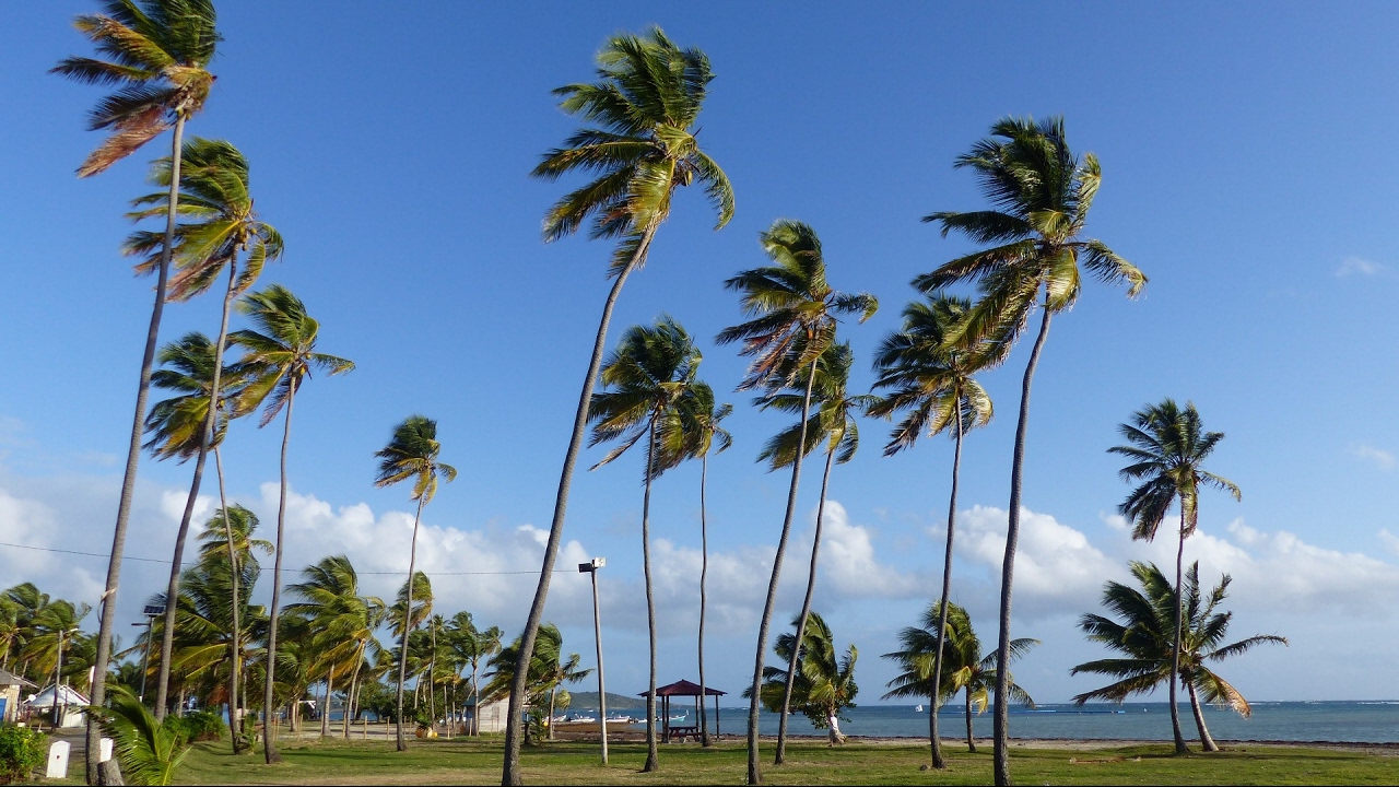 Martinique - Vauclin - Pointe Faula - Plage - YouTube