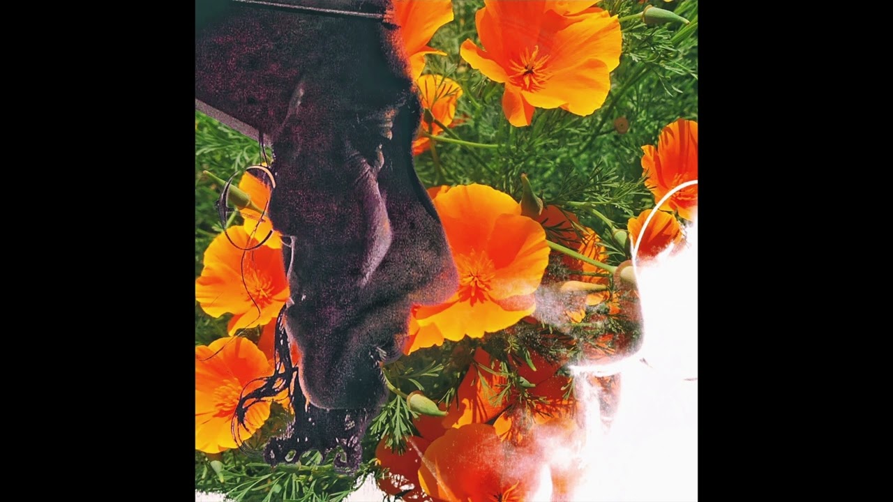 Sure Sure - FACC (Official Audio) - YouTube