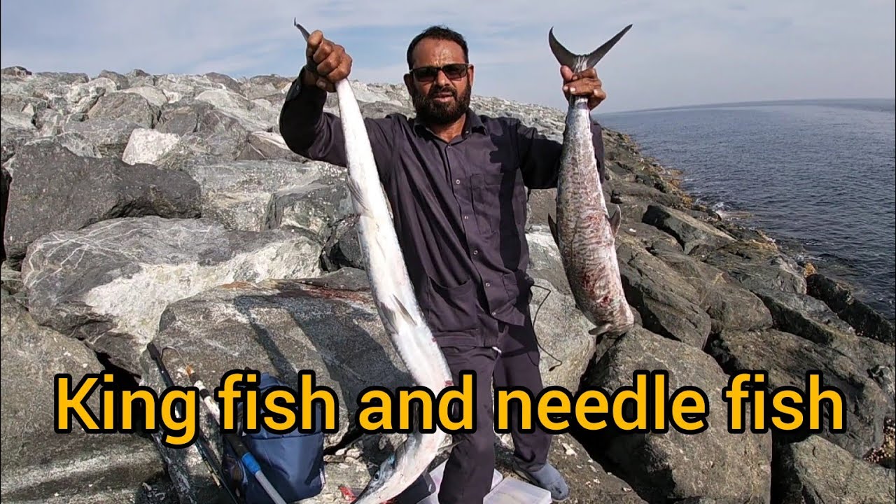 Catching Kingfish and needle fish👌😱 |back to UAE fishing| fujairah ...