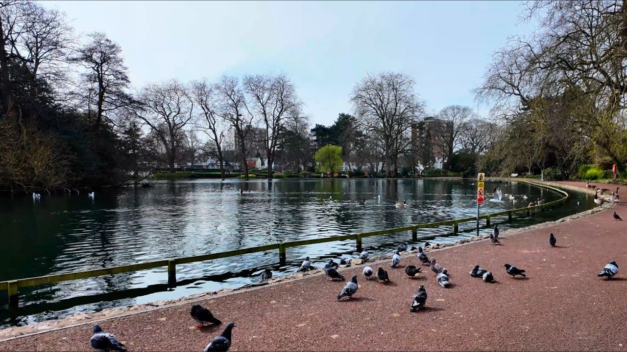 West Park Wolverhampton: A Relaxing Walk Through Wolverhampton's Green ...