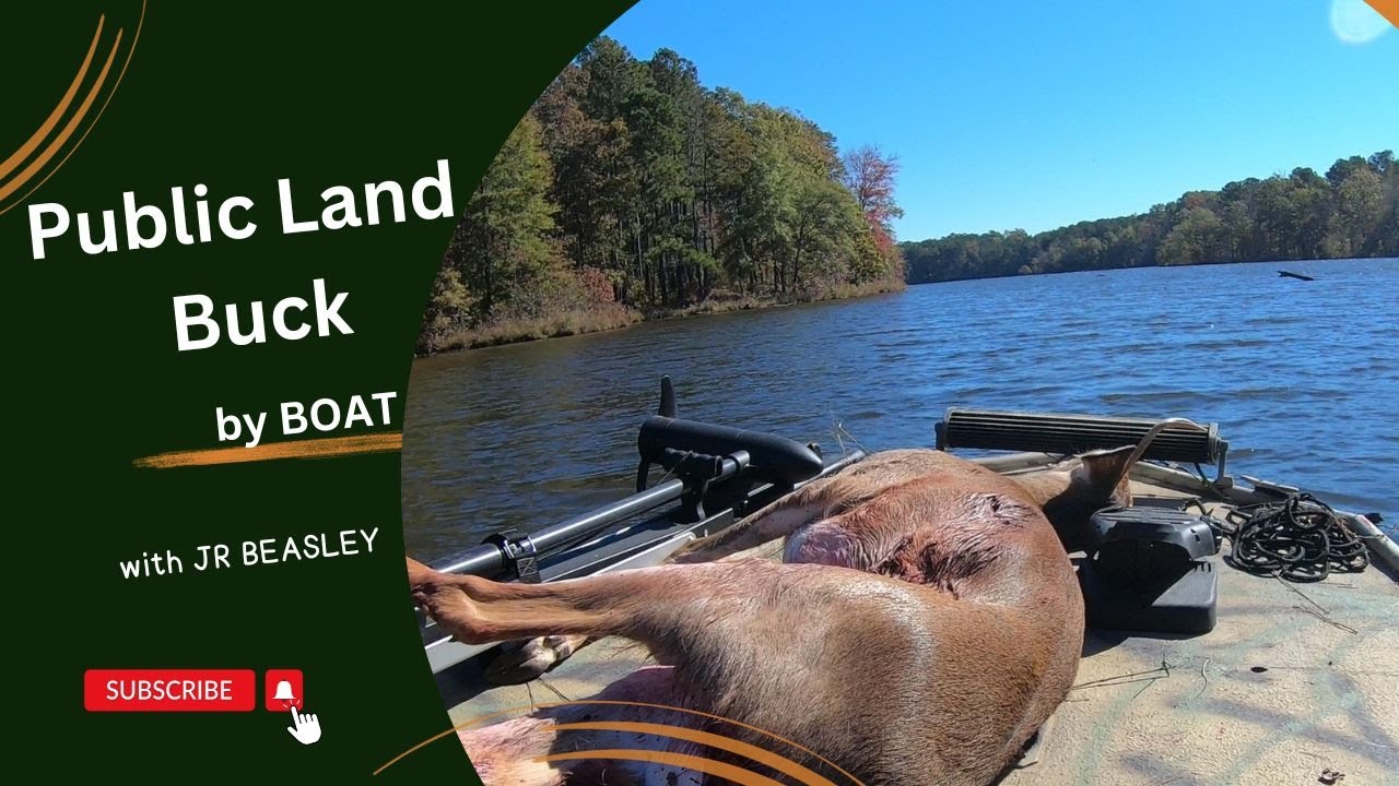 Public Land Buck Down (by Boat) - YouTube