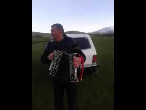 Qabil gedebeyli qarmon bas saritel