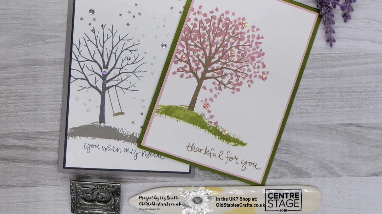 Sheltering Tree Through the Seasons - YouTube