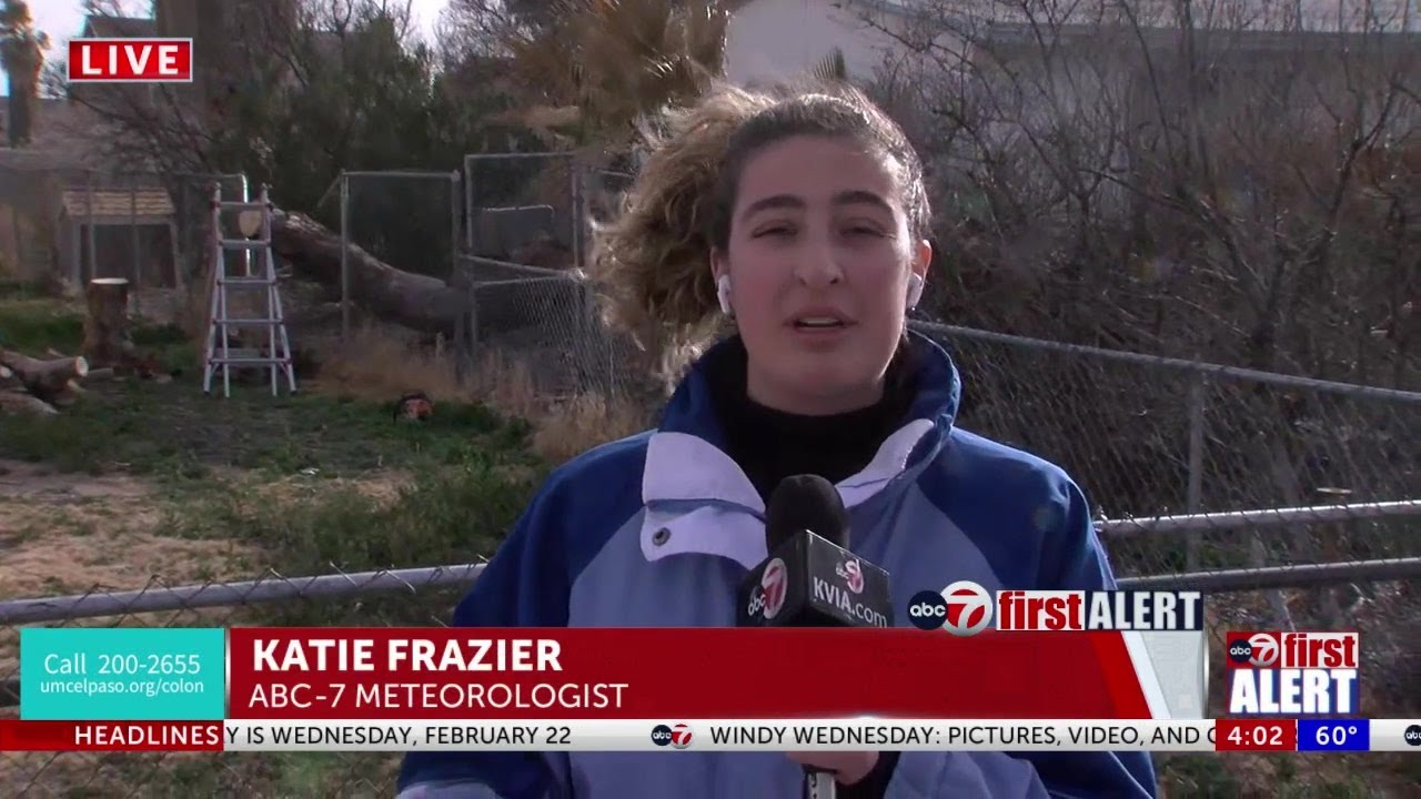 Katie Frazier covering a downed tree Feb 22 - YouTube