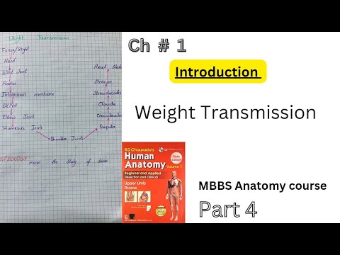 How to Weight Transfer from appendicular/Upper Limb to Axial skeleton ...