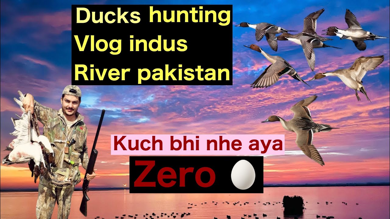 Ducks hunting vlog zero movement kuch nhe aya zero#indusriver #pakistan #duckshunting #hunting ...