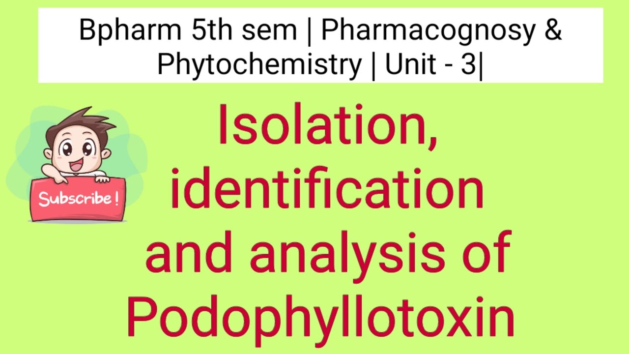 Isolation, identification and analysis of Podophyllotoxin - YouTube