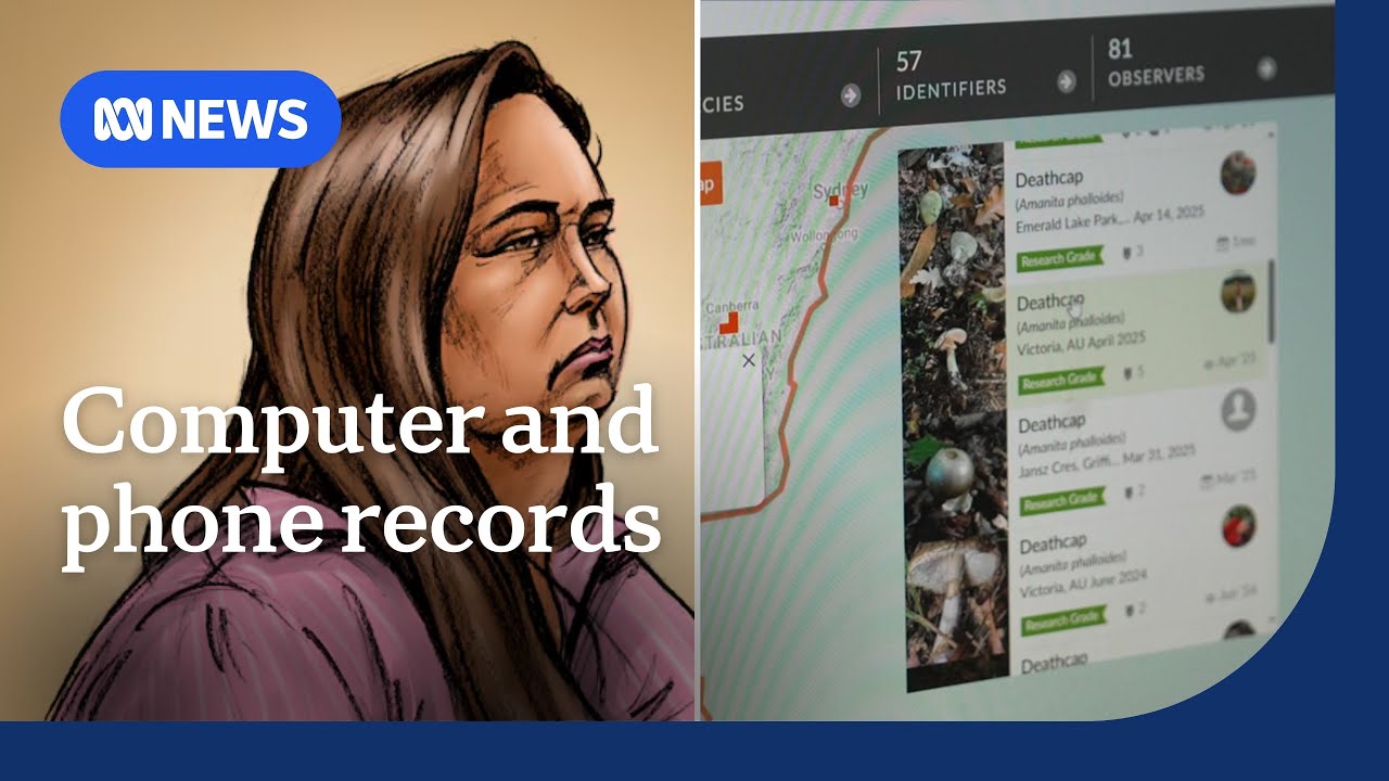 Digital forensic expert gives evidence at Erin Patterson's murder trial ...