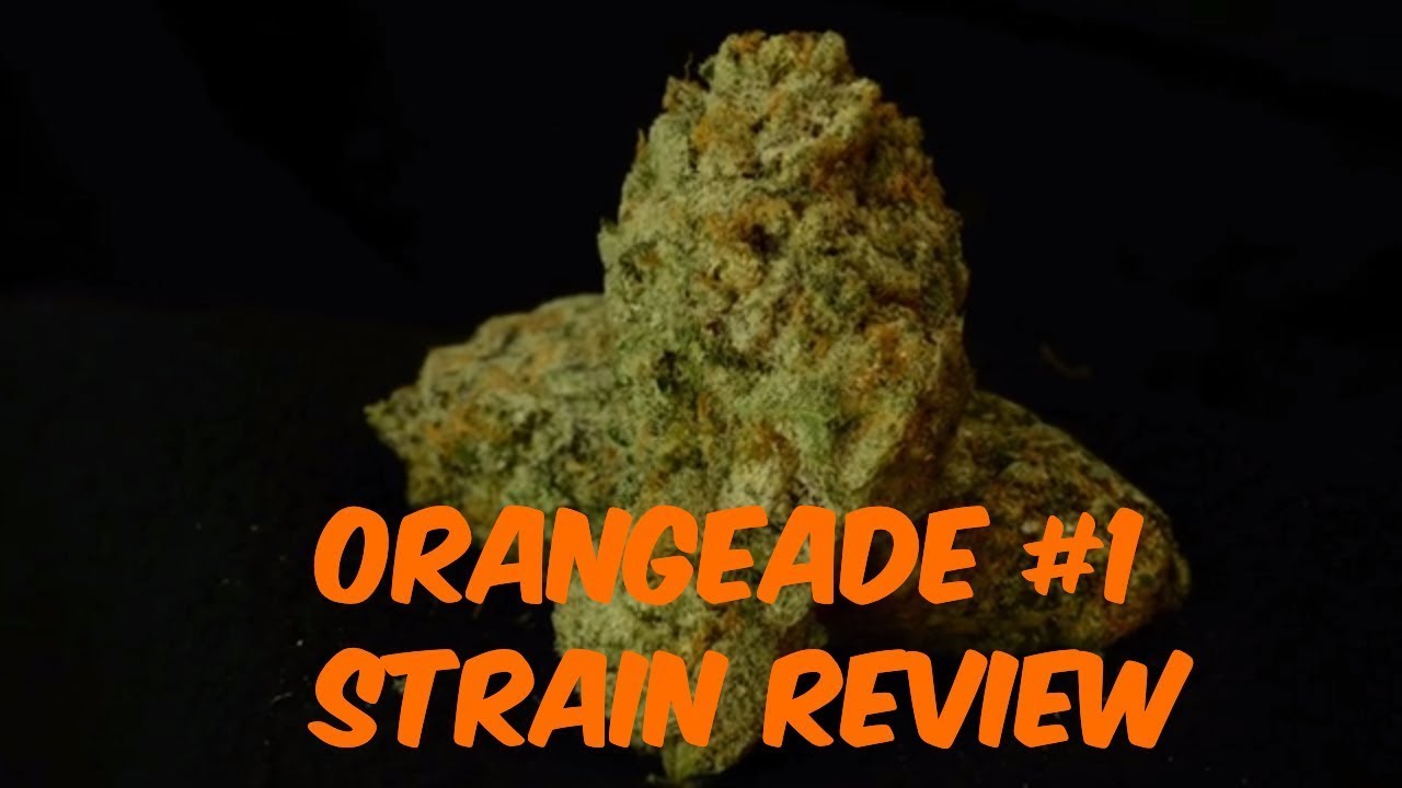 Cannabis Strain (Orangeaide) Rebel Cookies - YouTube