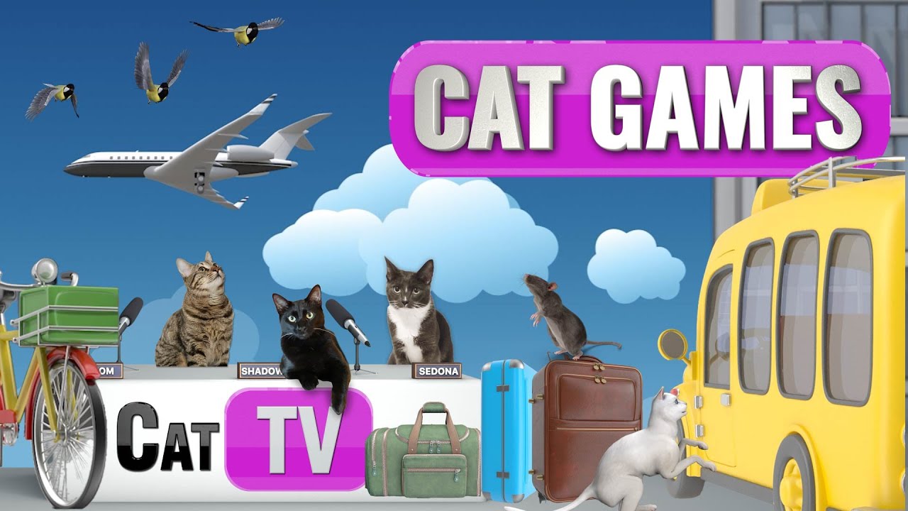 CAT Games | Cat TV Travel Adventure! 🚗🚲🚁🧳 ️ | 4K Videos For Cats to ...