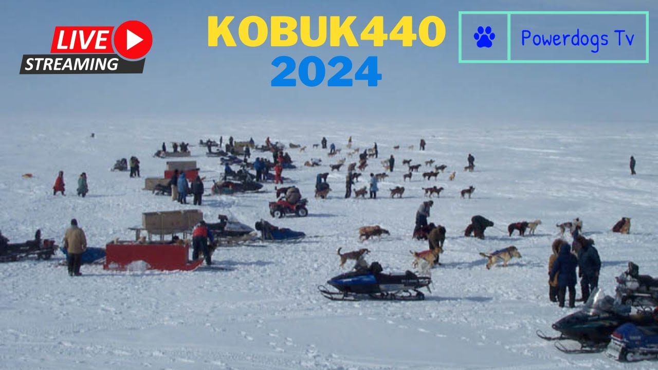 Powerdogs Tv en directo Kobuk 440 2024 - YouTube