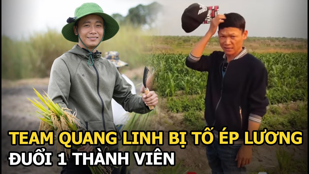 Team Quang Linh bị tố ép lương, đuổi 1 thành viên - YouTube