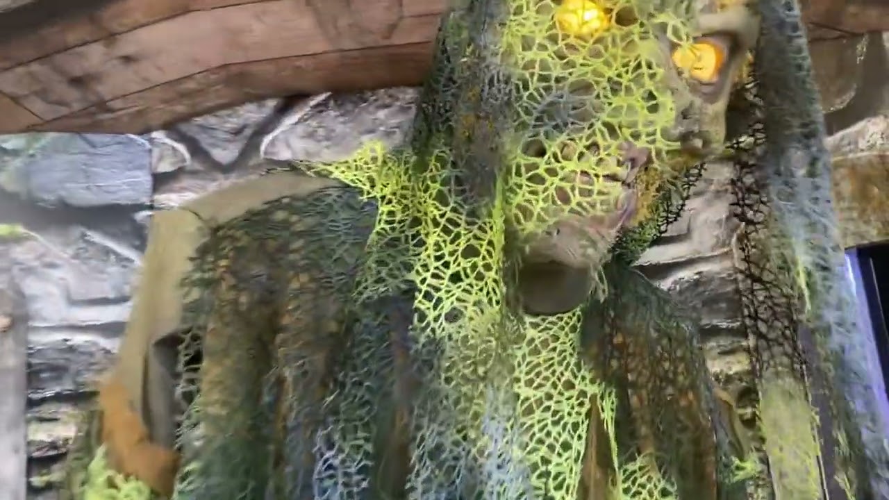 Bog Zombie | Spirit Halloween 2022 - YouTube