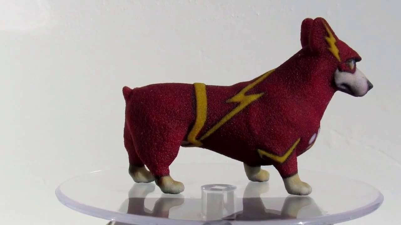 Flash Corgi from a 360 View - YouTube