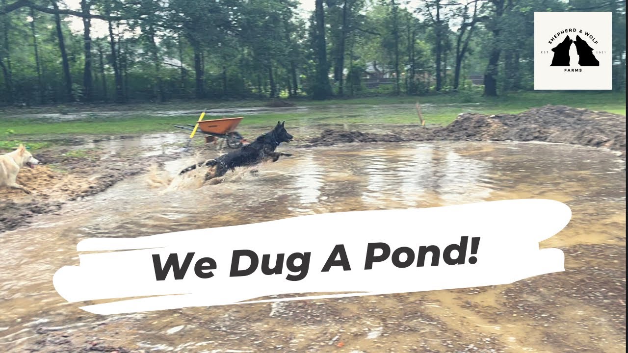 Small Farm Pond Construction | DIY from scratch - YouTube