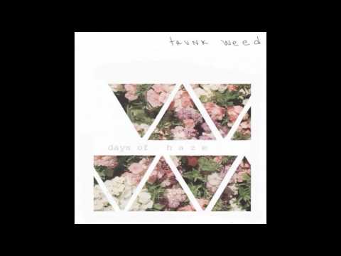 Trunk Weed - Days of haze