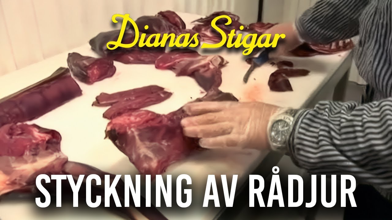 Styckning av rådjur (och mindre hjort) - YouTube