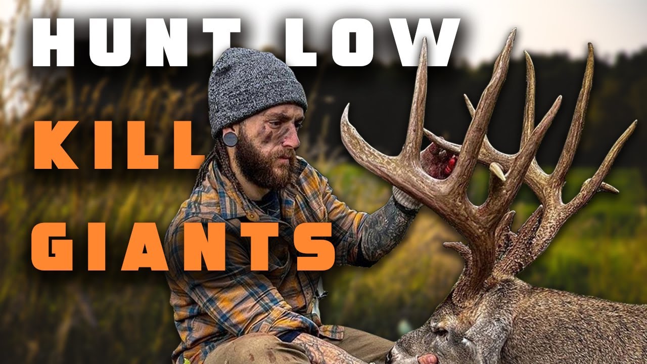 Cody D’Acquisto’s Secret: Why Hunting LOW Kills More Bucks - YouTube