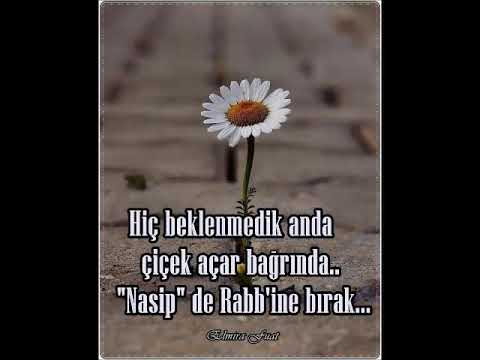 Ağzı olan çok Seviyor Siz Kalbi Olana denk gelin inşaAllah...Amin