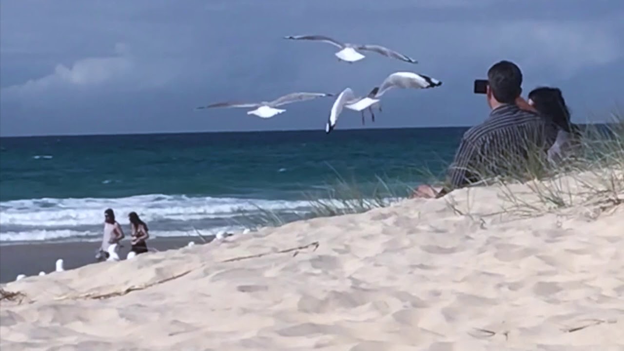 DAB202 Lost Serenity Found Rheanna Smith - YouTube