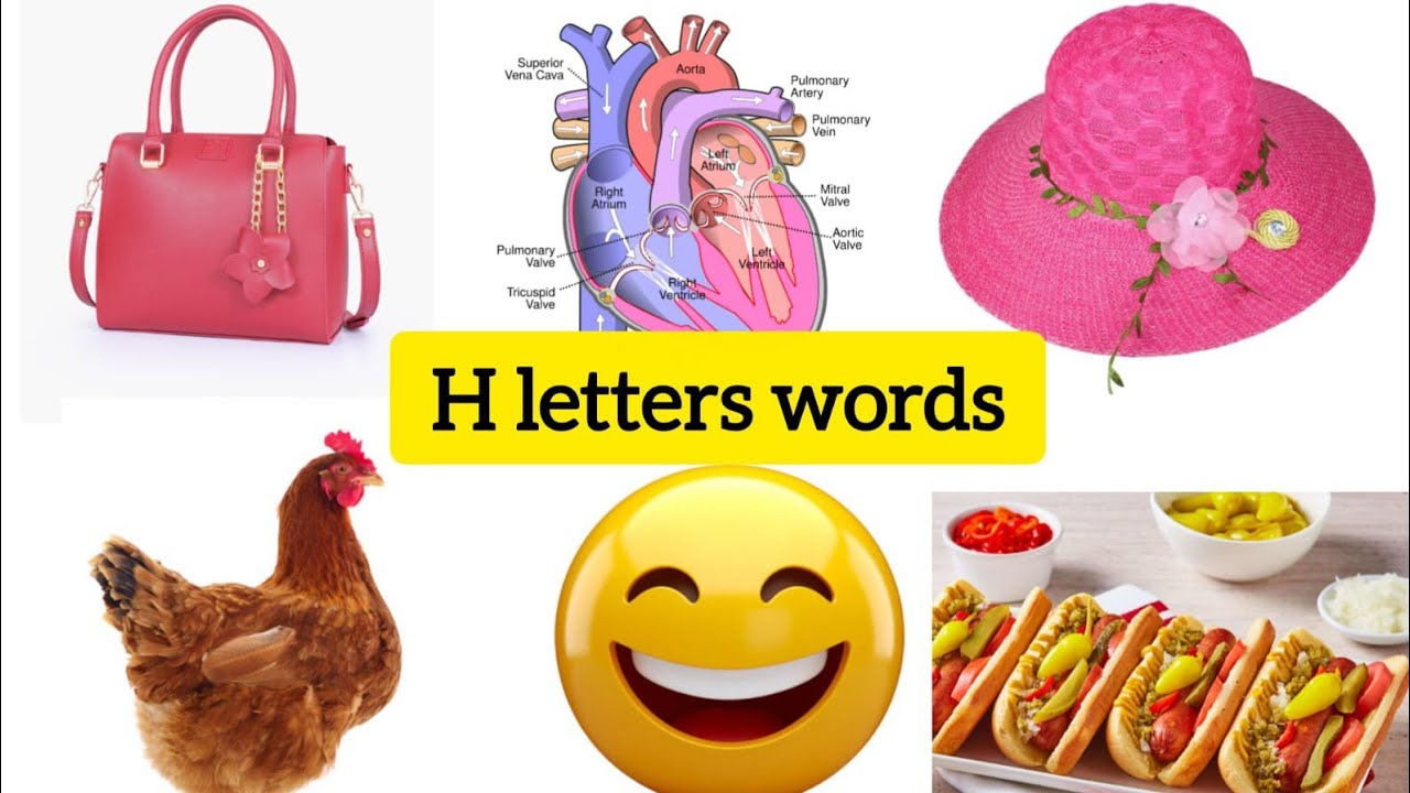 H letter words for kids|| learn words starting with letter H - YouTube