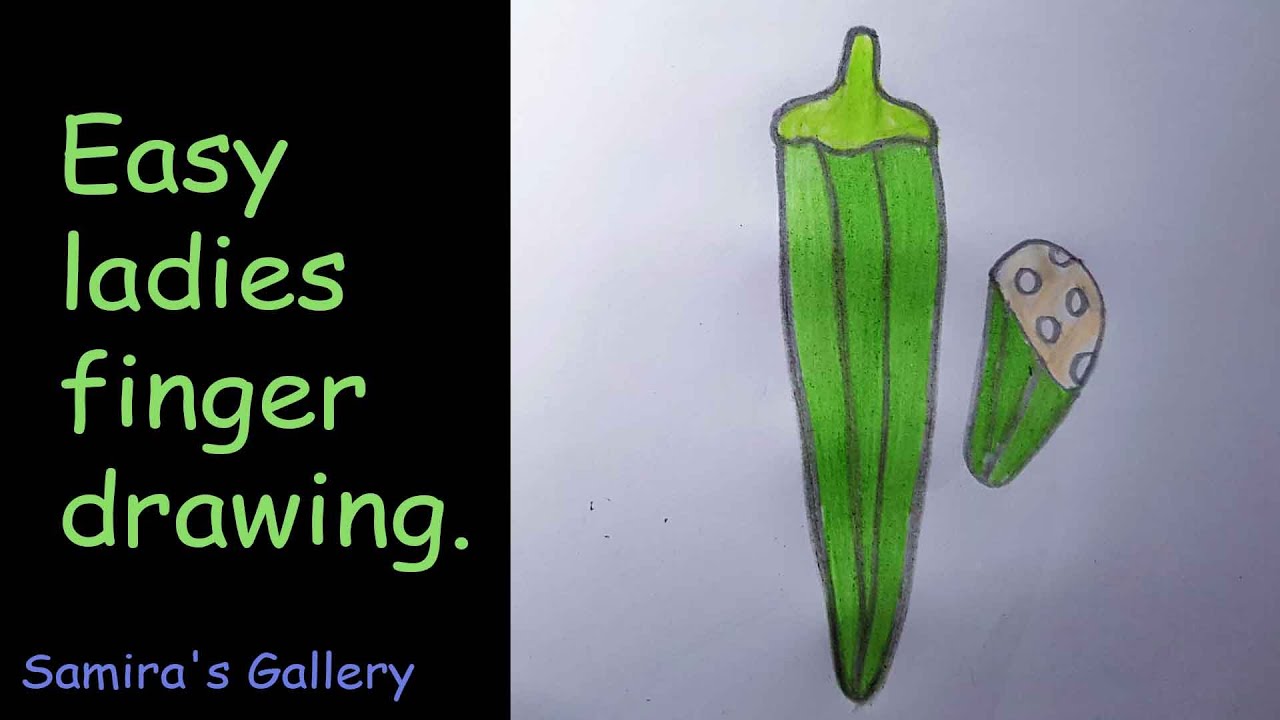 How to draw ladies finger step by step. - YouTube