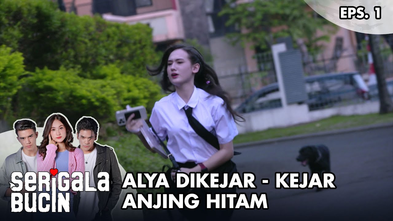 Alya Dikejar - Kejar Anjing Hitam- Serigala Bucin - YouTube
