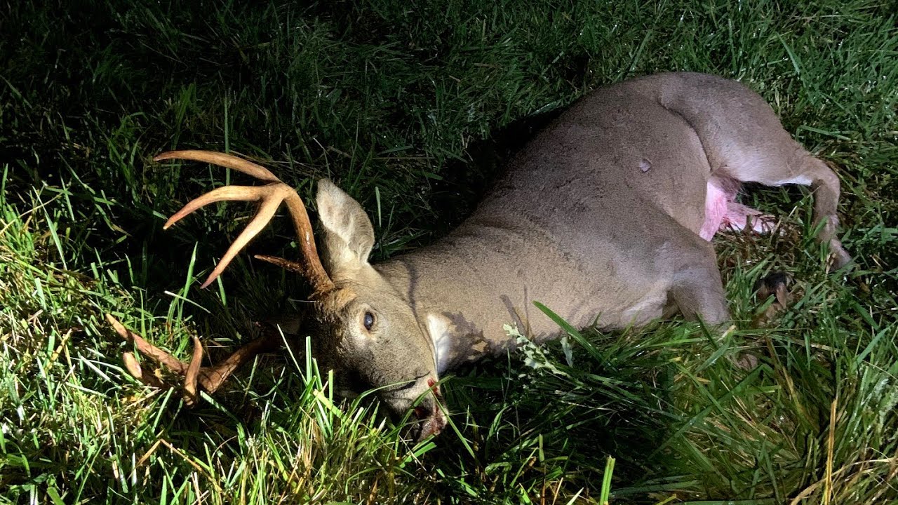 Bow HUNTING in IOWA - Opening Week BUCK!! Is Hunting in POURING Rain ...