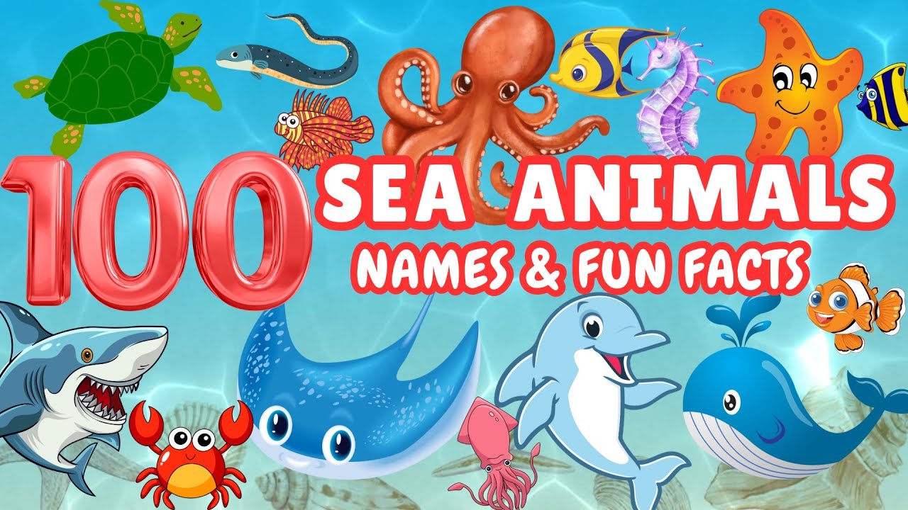 100 Amazing SEA ANIMALS and Fun Facts for Kids | Learn 100 Ocean ...