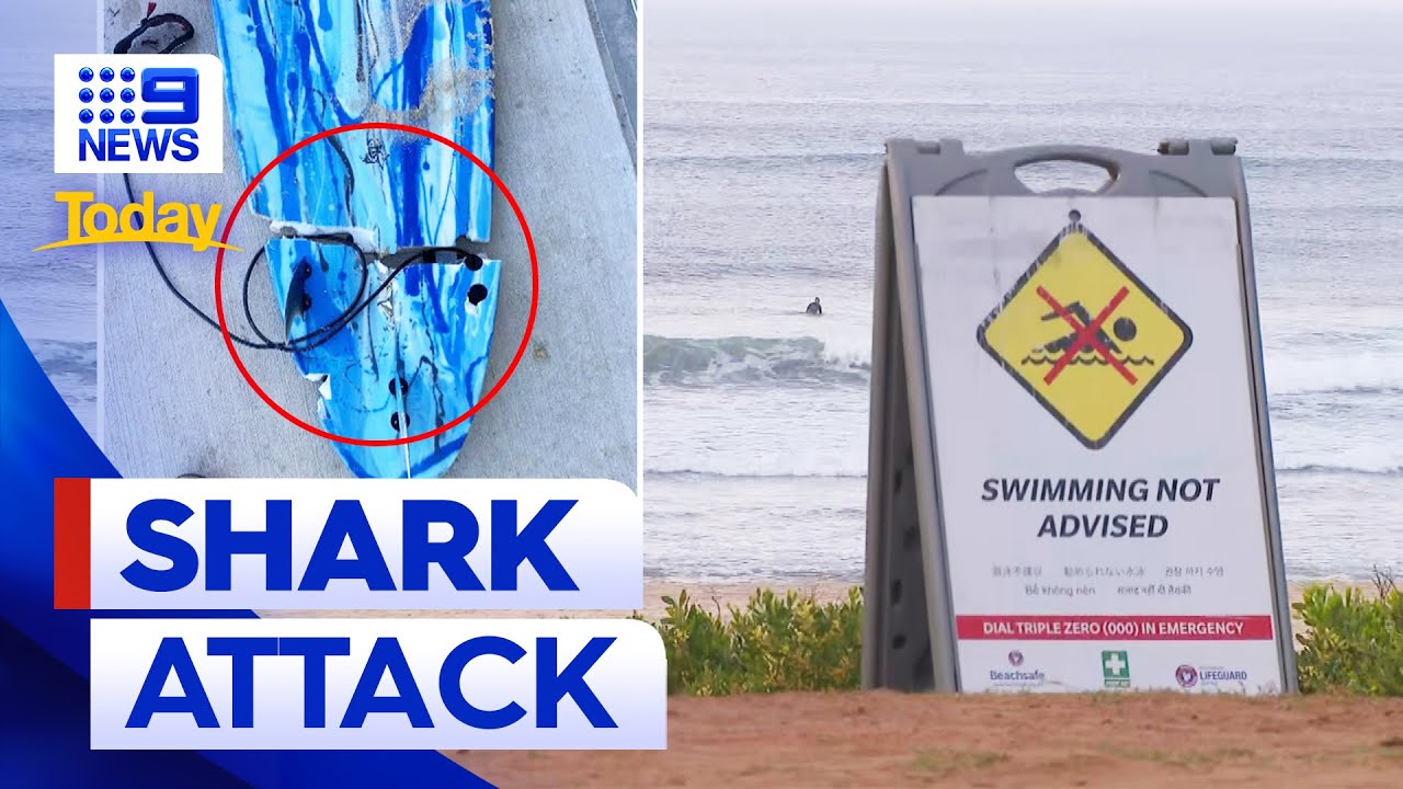 Shark attack victim recovering in NSW hospital | 9 News Australia - YouTube