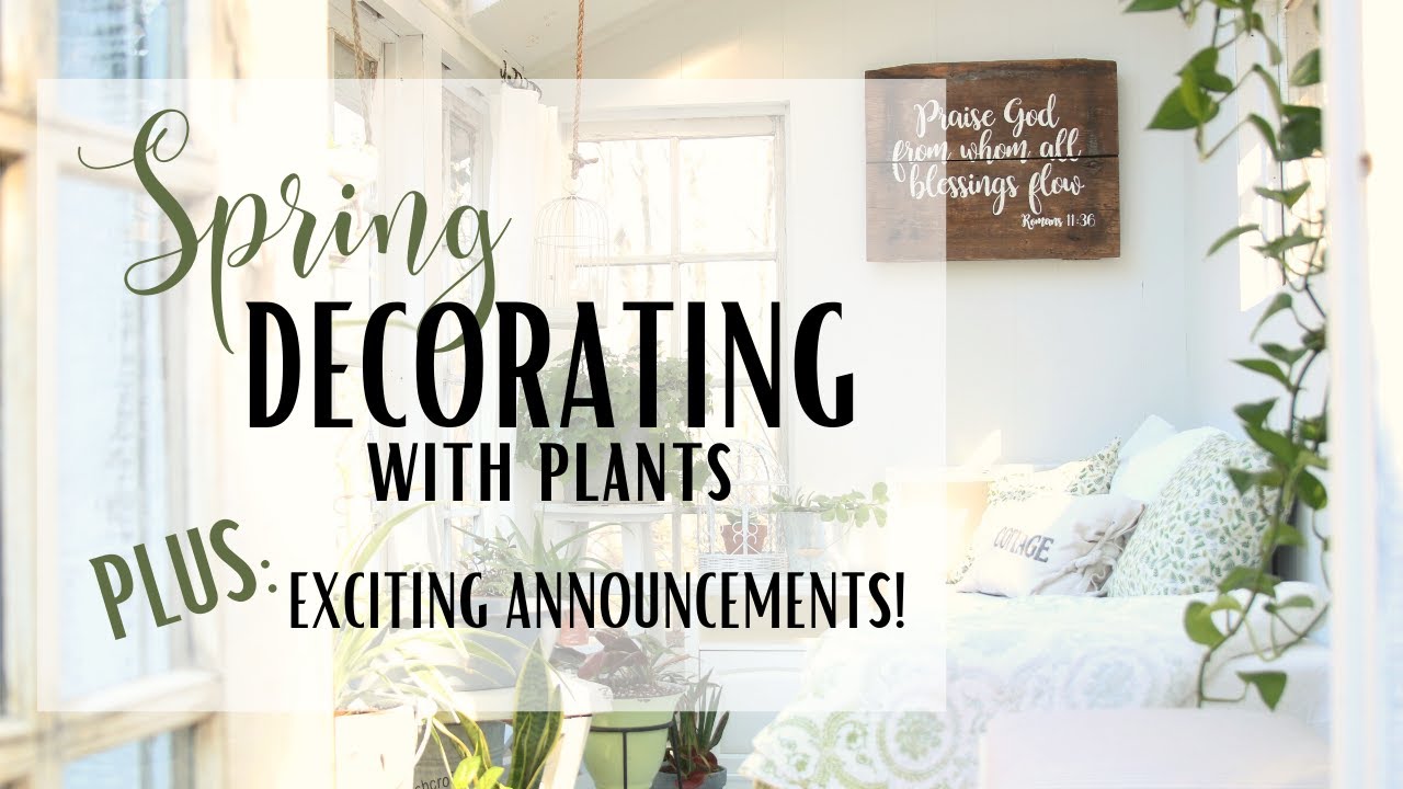 2020 Spring Shed ~ House Plants Tour ~ Decorating with Plants ~ Outside ...