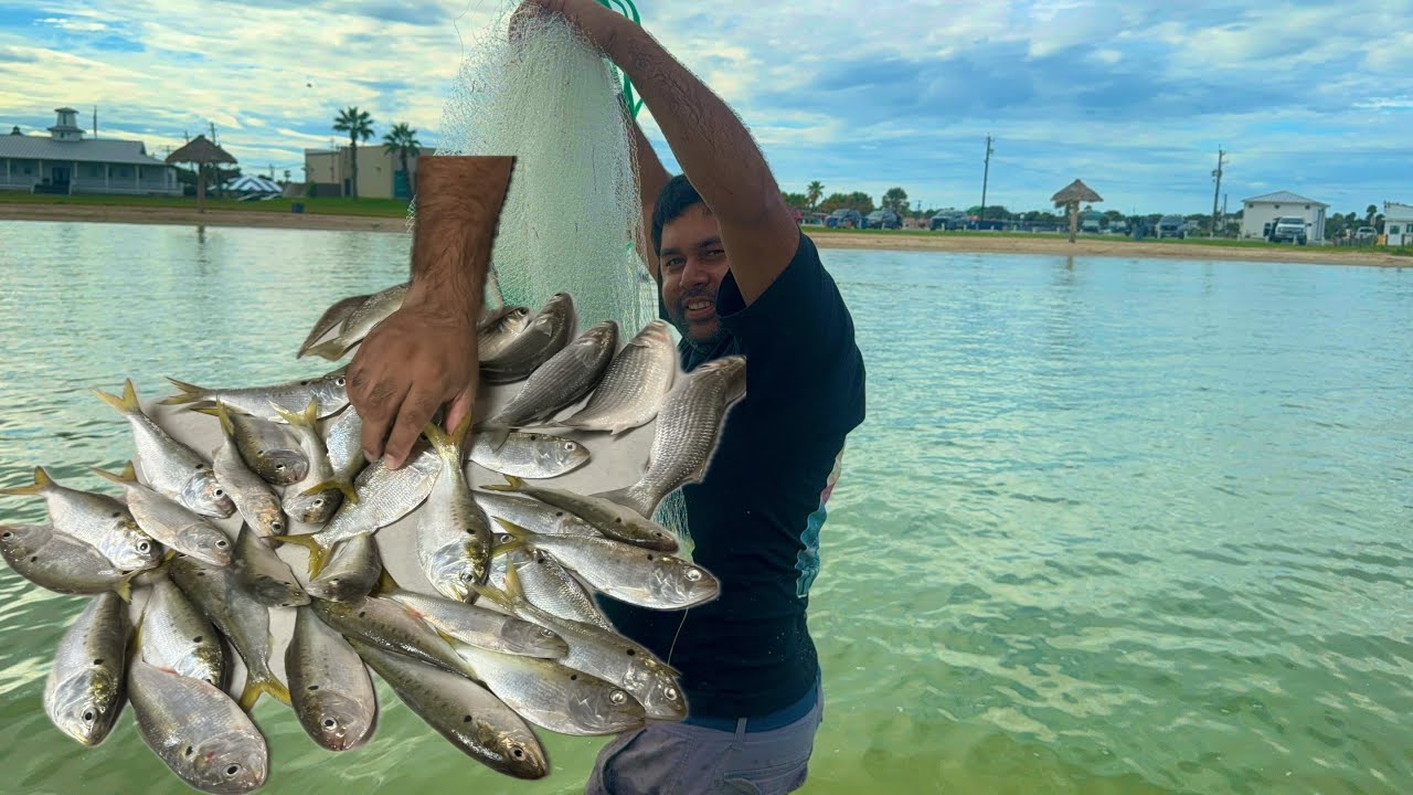 চূড়ান্ত ইলিশ মাছ ধরার অভিজ্ঞতা । The Ultimate Hilsha Fish Catching ...