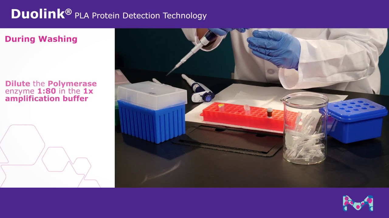 Duolink® PLA from MilliporeSigma - YouTube