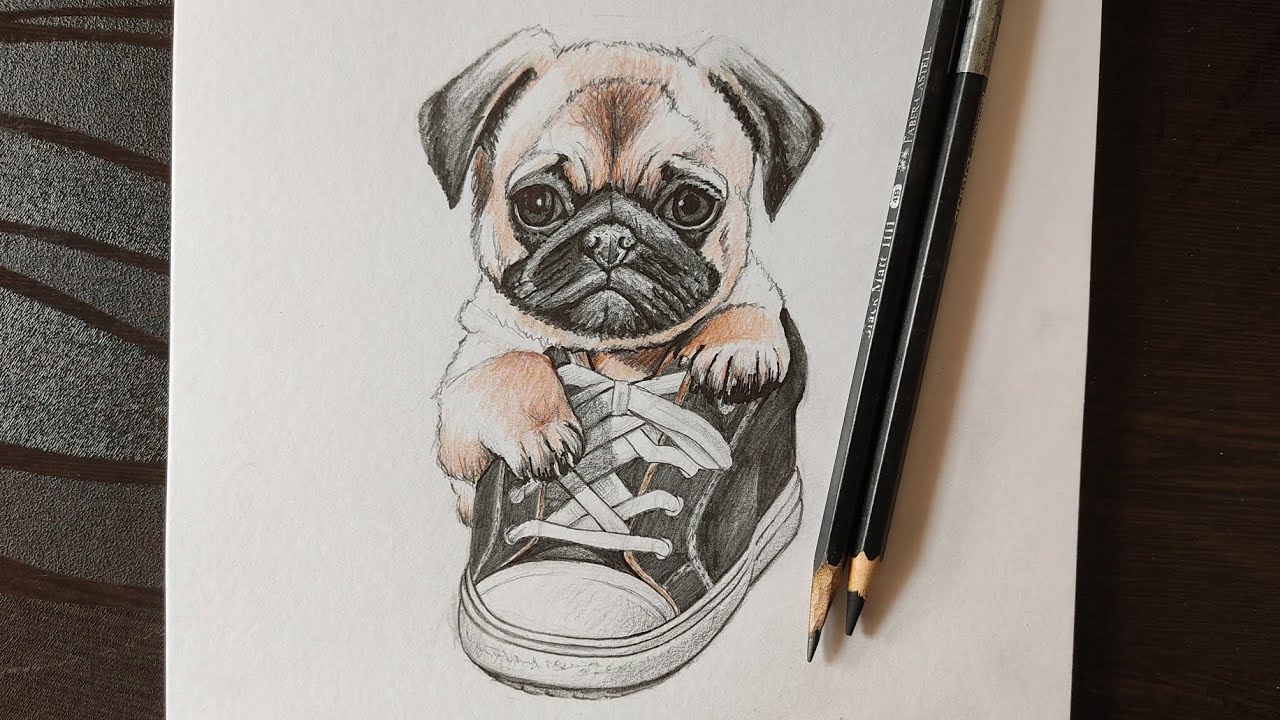 How to shade a Cute Puppy | Puppy drawing | puppy sketch | Dog drawing ...
