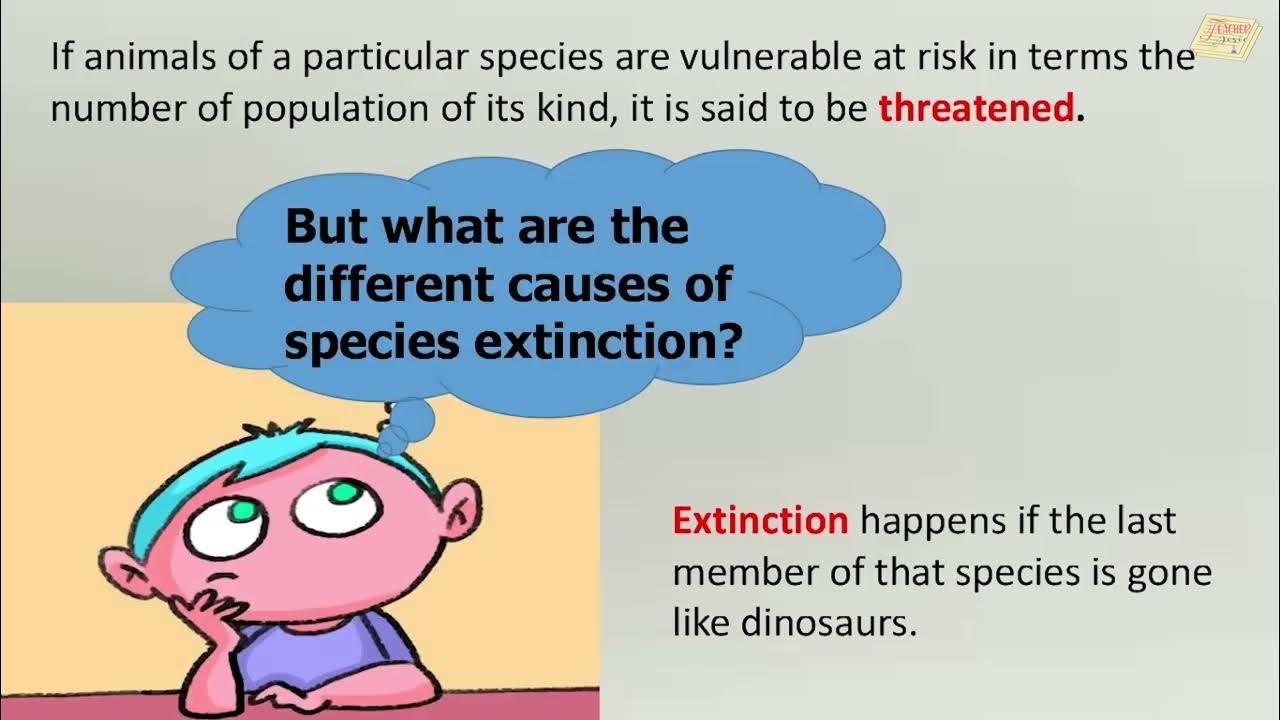 Biodiversity and Evolution (Science 9 Module 4) - YouTube