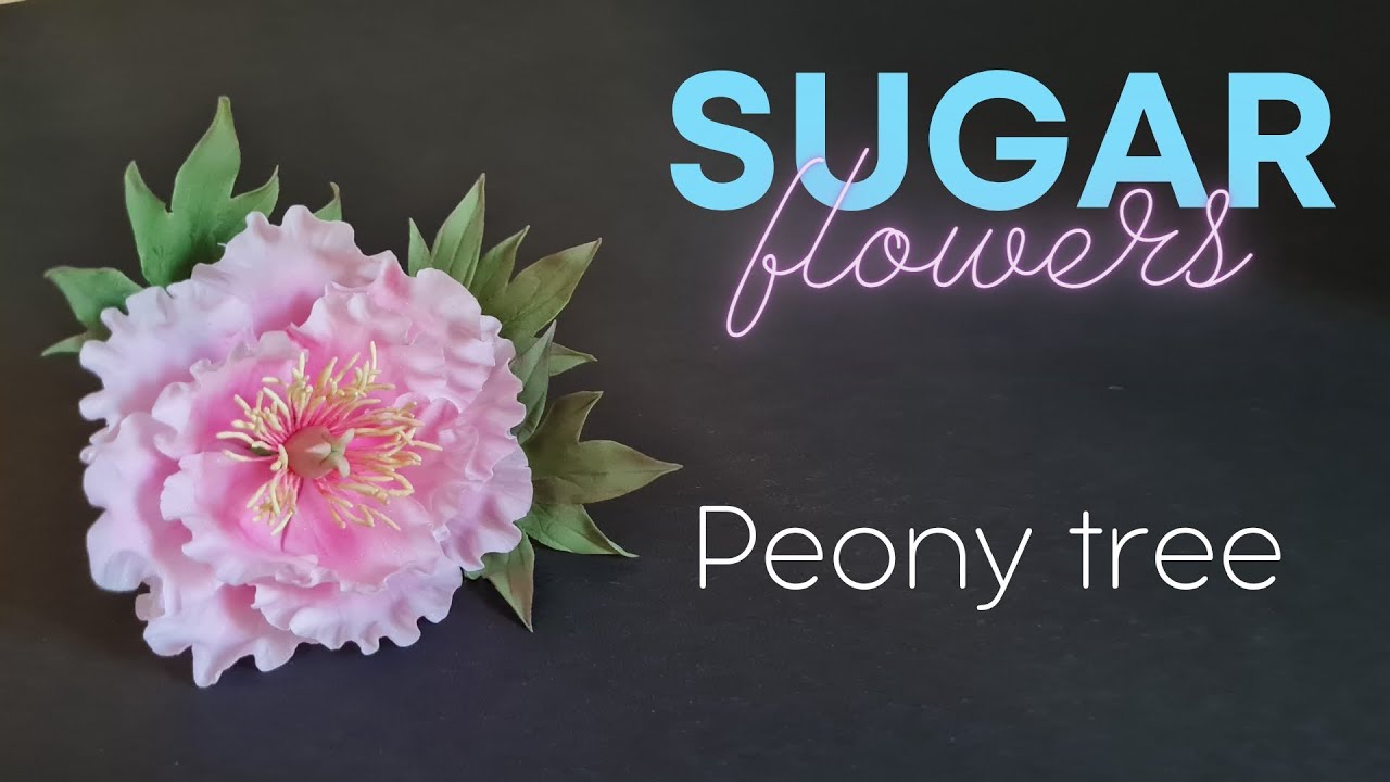 Gumpaste Peony tutorial // How to make a tree peony from sugar paste ...